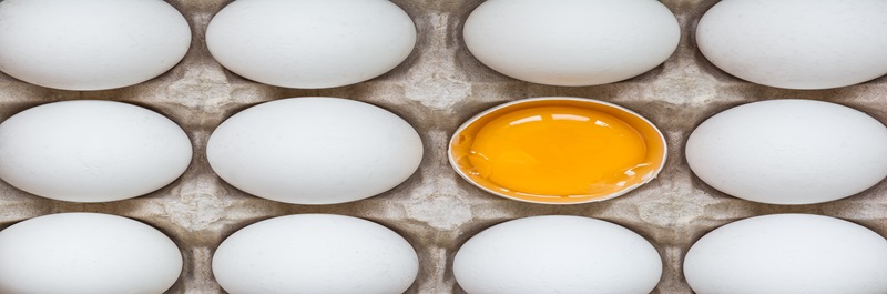 È nato prima l’uovo (di Pasqua) o la gallina? Espressioni con la parola ...
